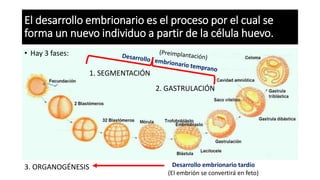 (Embriología veterinaria) La segmentación.pptx