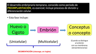 (Embriología veterinaria) La segmentación.pptx