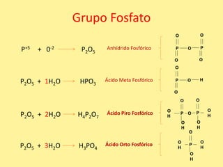 Clase 04 bases quimicas | PPTX