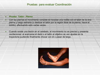 Etapas de la Evaluación Neurológica.ppt