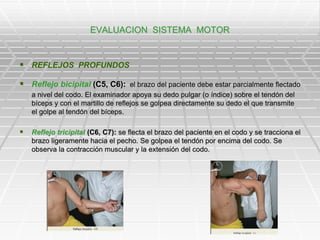 Etapas de la Evaluación Neurológica.ppt