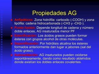 Clase04 lipidos | PPTX