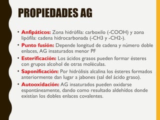 Clase04 - Lipidos, caracteristicas y tipos | PPT