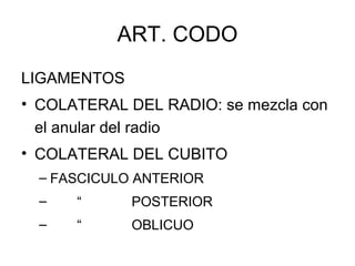 ANATOMIA ARTICULACIONES DEL MIEMBRO SUPERIOR | PPT
