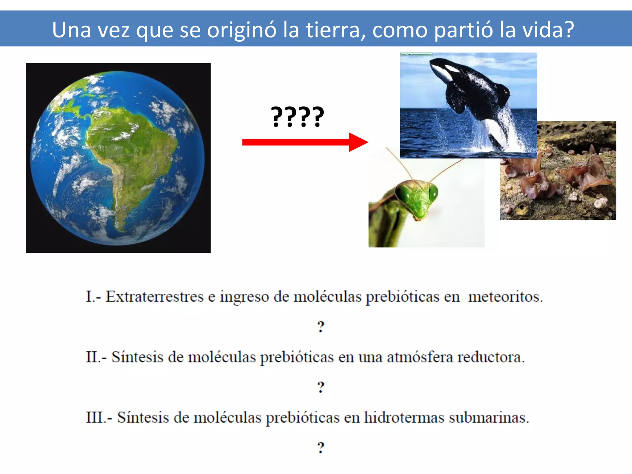 Origen de la vida en la tierra | PDF