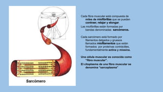 Clase 1. fisiolofia. Contraccion muscular.pptx