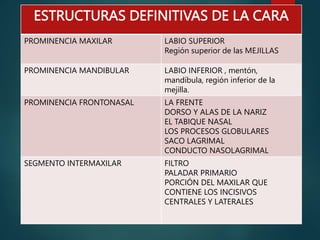 Crecimiento y desarrollo del complejo craneofacial | PPTX