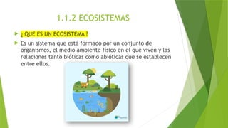 IMPACTO DE LOS SERES HUMANOS EN EL MEDIO AMBIENTE | PPTX