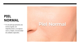 piel anatomia, funciones, tipos de piel y sus caracteríticas | PPTX