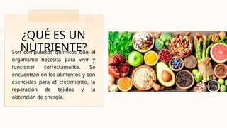 NUTRICIÓN BÁSICA Y CONCEPTOS, TIPOS DE NUTRIENTES | PPTX