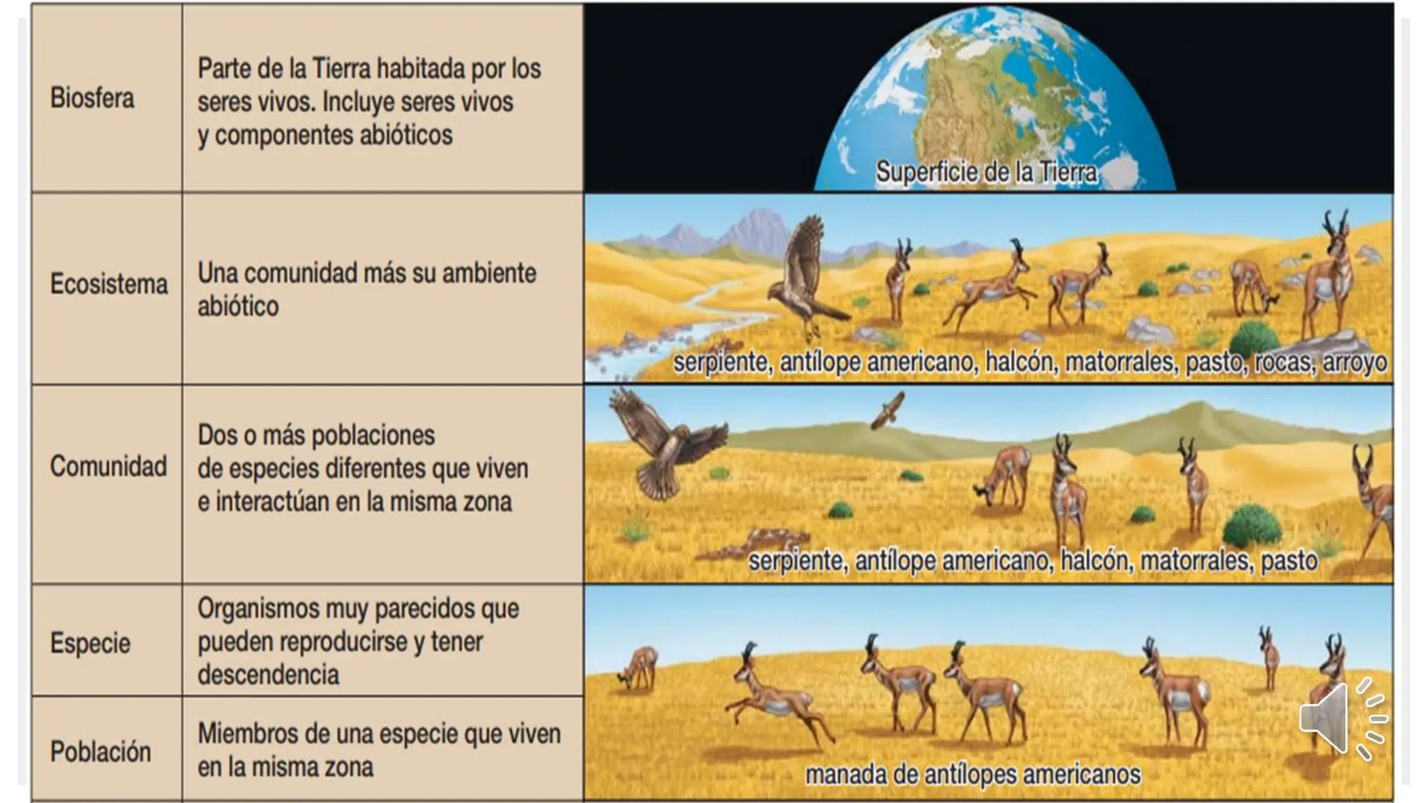 características de los seres vivos - ppt | PDF | Biological Sciences ...