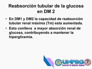 CLASE 1 - DIABETES MELLITUS ETIOPATOGENIA-DIAGNOSTICO_034155.pdf