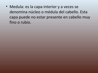 Clase #1 el cabello | PPT