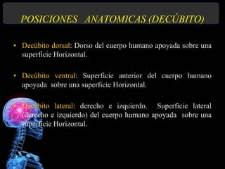 CLASE 1 - Introducción a la Anatomia - Enfermería.pptx