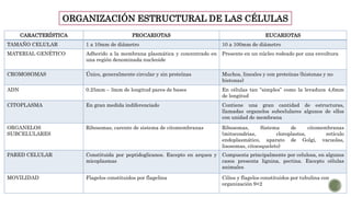 CLASE 1 - INTRODUCCIÓN A LA BIOLOGÍA CELULAR Y MOLECULAR.pptx
