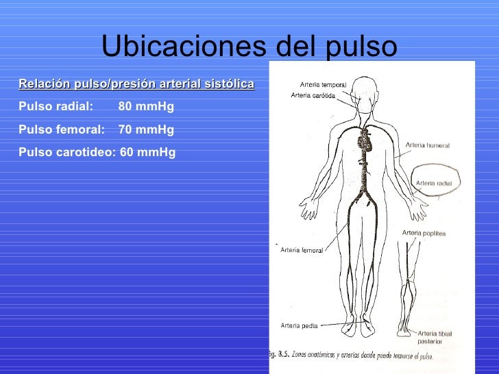 SEMIOLOGÍA CARDIOVASCULAR