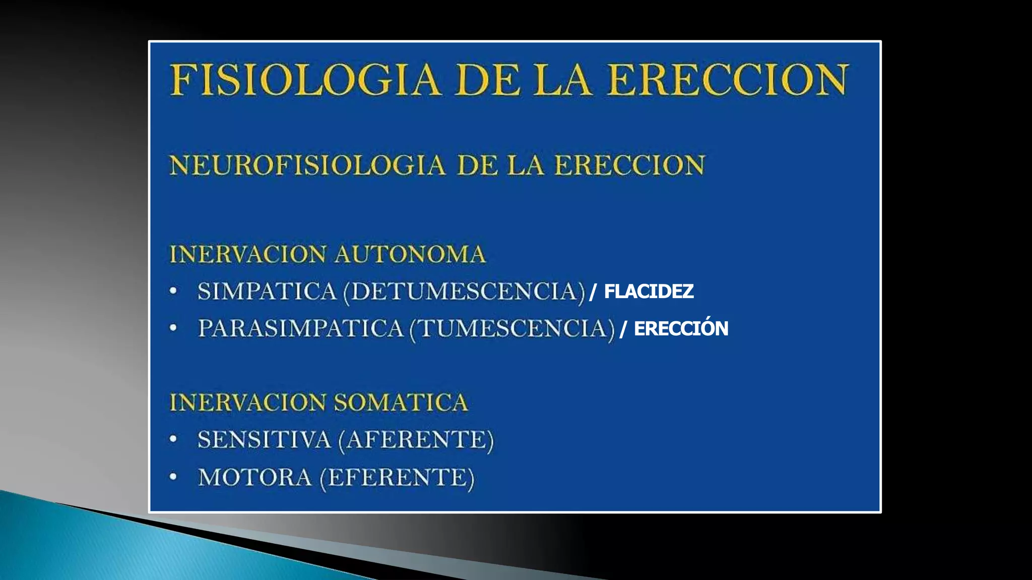 CLASE 1 - Morfo fisiología de la Erección. Tipos de erección ...