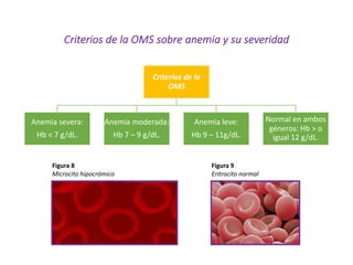 Clase 10. Hemoglobina Estructura. Síntesis. Clases. Interpretación ...