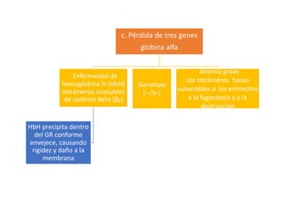 Clase 10. Hemoglobina Estructura. Síntesis. Clases. Interpretación ...