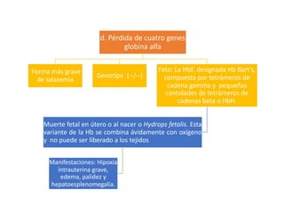 Clase 10. Hemoglobina Estructura. Síntesis. Clases. Interpretación ...