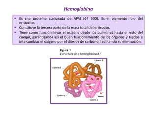 Clase 10. Hemoglobina Estructura. Síntesis. Clases. Interpretación ...
