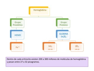 Clase 10. Hemoglobina Estructura. Síntesis. Clases. Interpretación ...