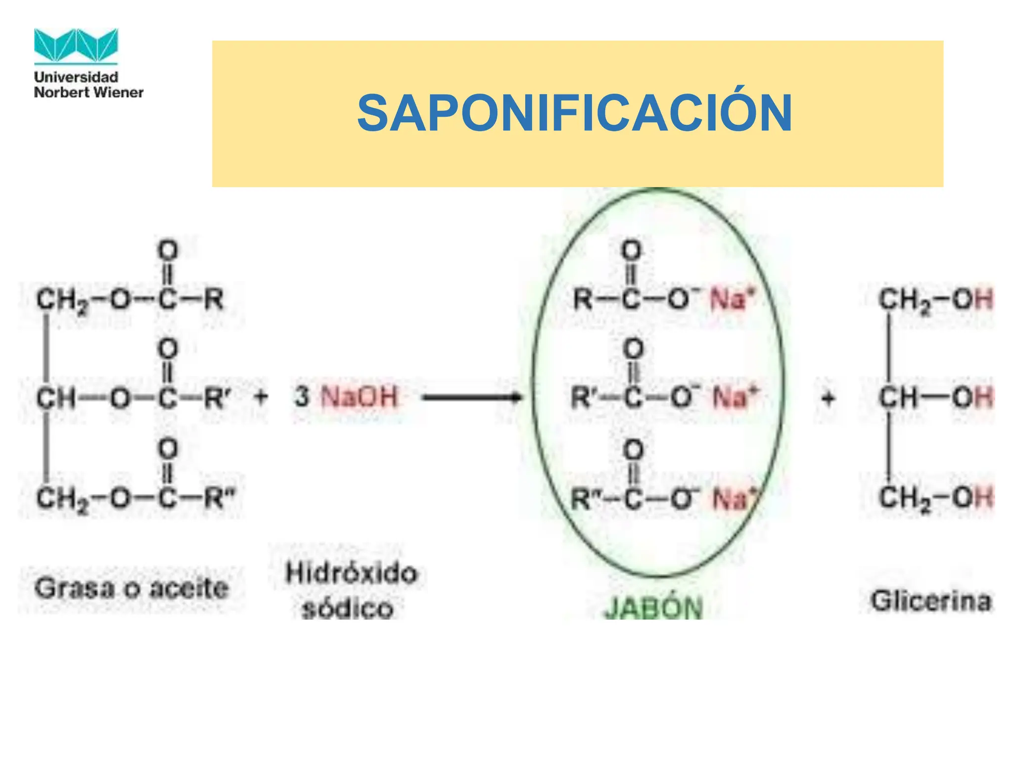CLASE 10 - Esteres - CDCDEDEDRecp (1).pptx