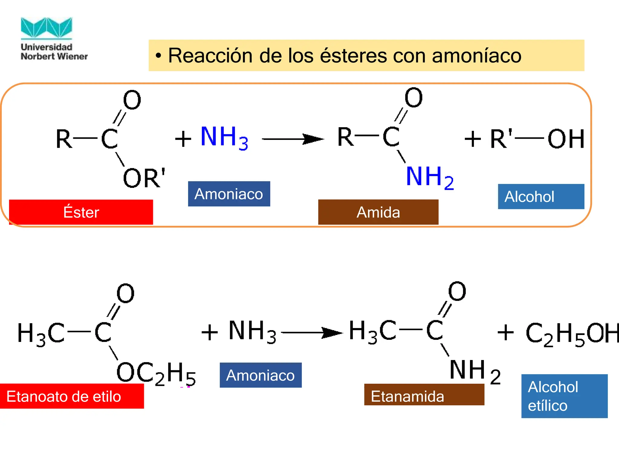 CLASE 10 - Esteres - CDCDEDEDRecp (1).pptx