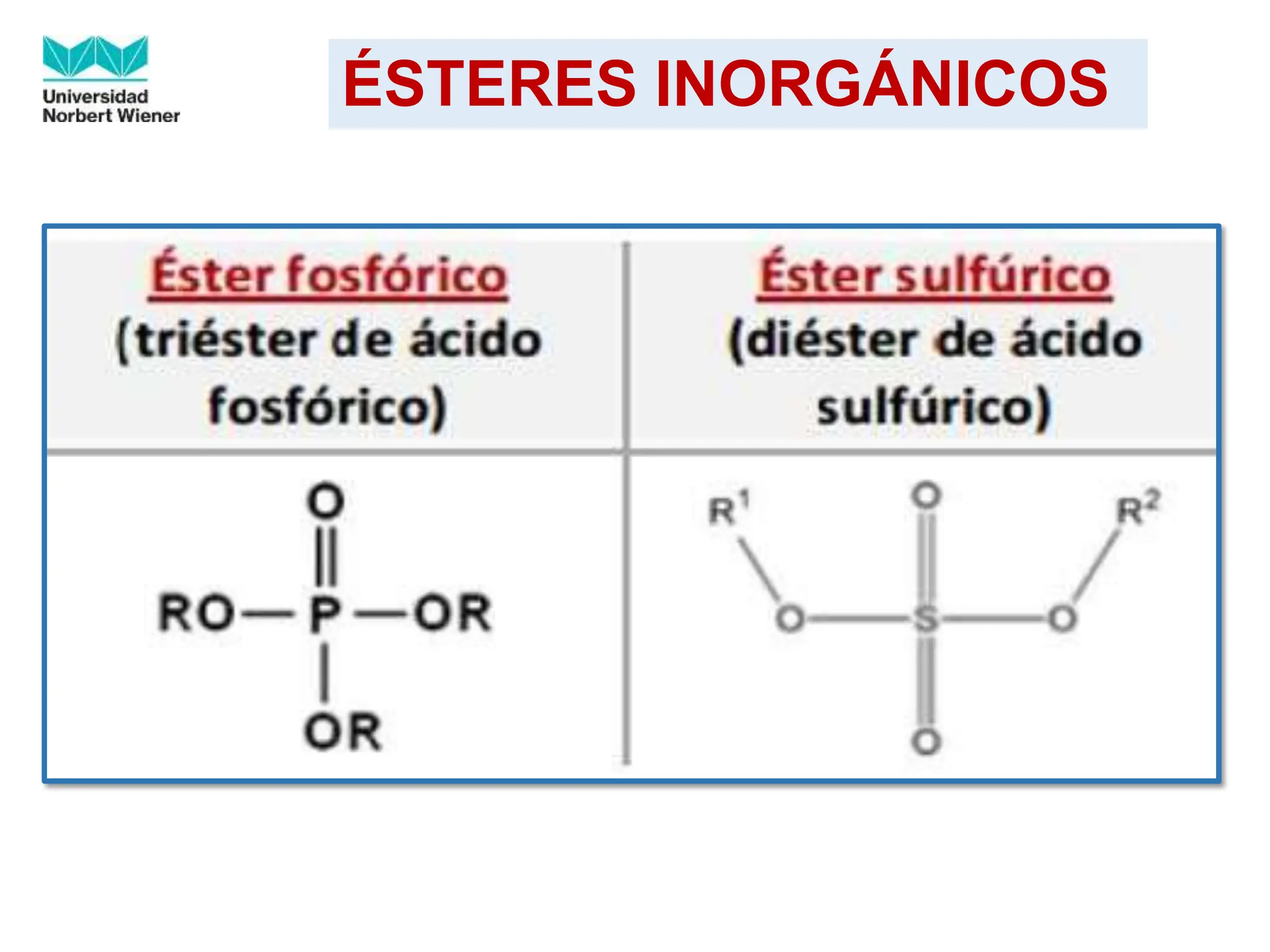 CLASE 10 - Esteres - CDCDEDEDRecp (1).pptx