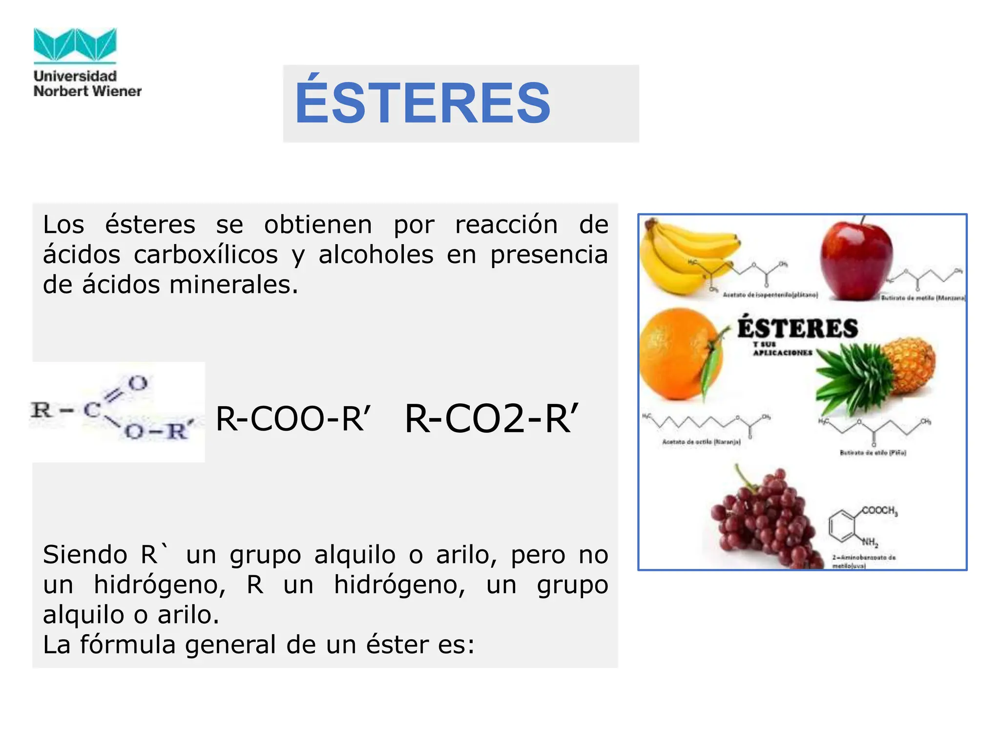 CLASE 10 - Esteres - CDCDEDEDRecp (1).pptx