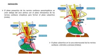 Clase 10 Fisiologia cardiaca introduccion.pptx