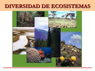 diversidad biologica | PPT