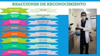 Clase 11 Acido Sulfurico Y Acido Nitrico Pdf