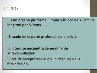 Clase 11 anatomía | PPTX