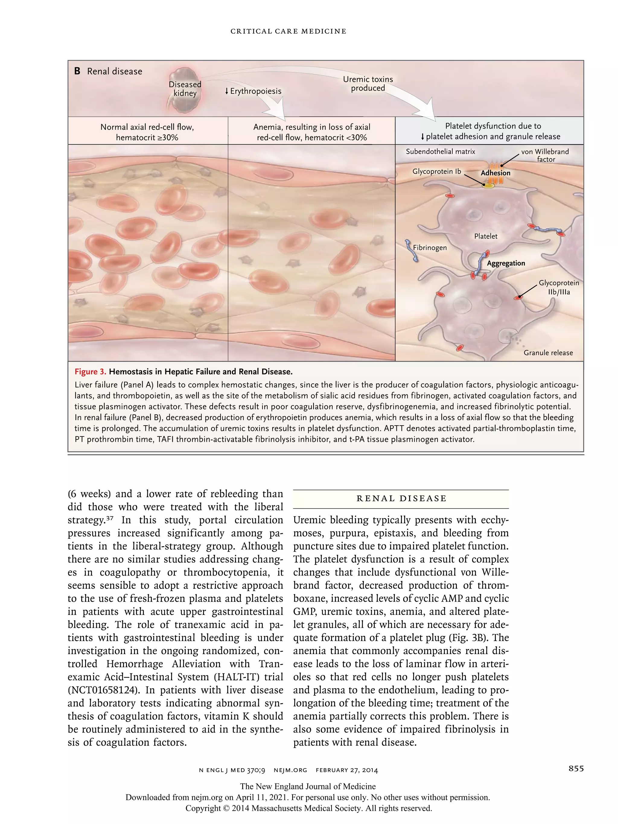 Bleeding and Coagulopathies in Critical Care (1).pdf