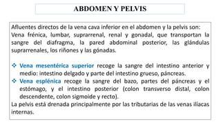 PRINCIPALES VENAS DEL CUERPO HUMANO , TIPOS, UBICACION | PDF
