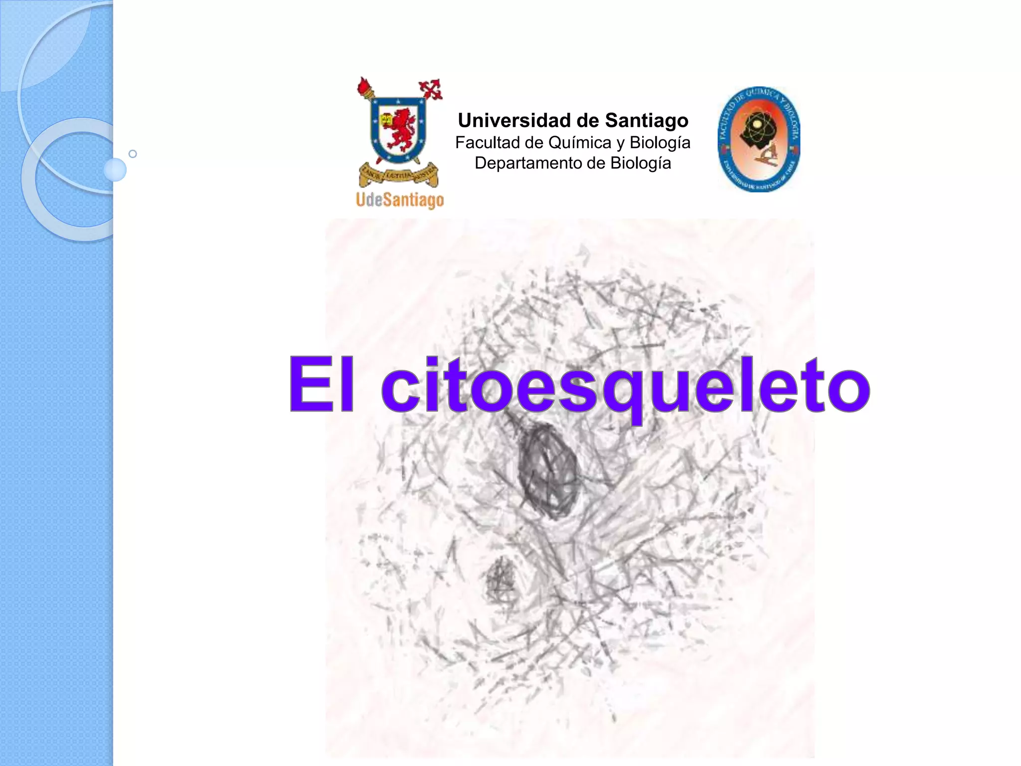 El citoesqueleto | PPTX
