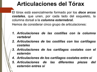 Clase 12 Artrología de Columna y Torax 2023.pdf