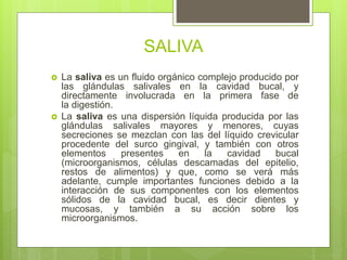 Clase 12 Bioquímica de la saliva.pptx