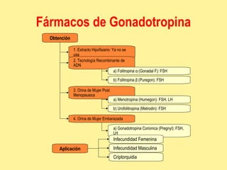 Clase 12 endocrino i | PPT