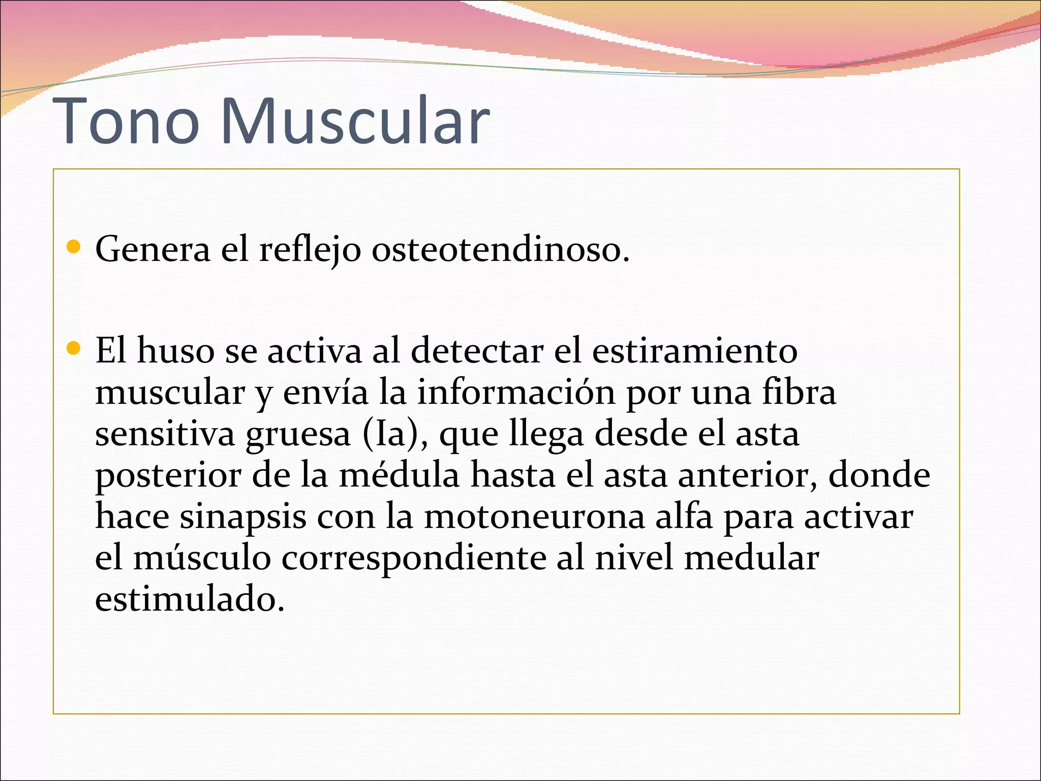 Clase 12 Tono Muscular Normal y sus alteraciones | PPT