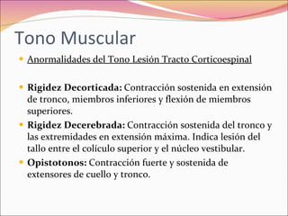 Clase 12 Tono Muscular Normal y sus alteraciones | PPT