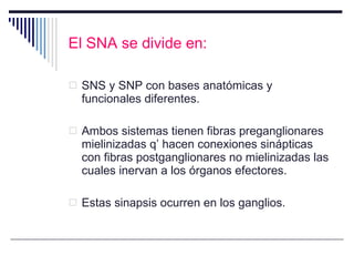 Clase 13 | PPT