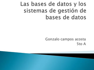 las bases de datos y los sistemas de gestión de base de datos | PPTX