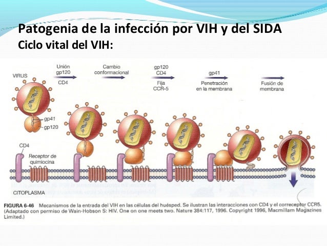 CLASE #13 - VIH/SIDA (INMUNOLOGIA)