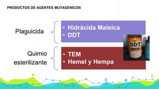 Clase 15. PLAGUICIDAS, CARCINOGENOS, MUTAGENICOS Y TERATOGENICOS | PPTX