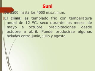 CLIMAS DEL PERU.docx