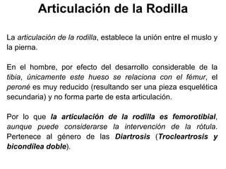 Clase 16 Artrologia mmii 2 de 3 (Rodilla y Tobillo) 2023.pptx