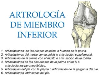 Clase 16 Artrologia mmii 2 de 3 (Rodilla y Tobillo) 2025.pptx