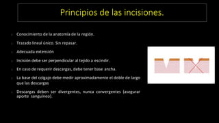 Diseño de colgajos y suturas 2024....... | PDF